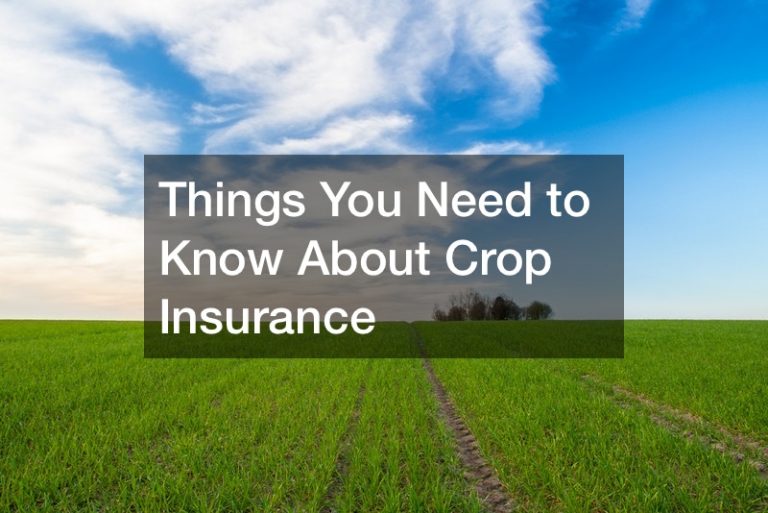 Things You Need to Know About Crop Insurance - Insurance Magazine